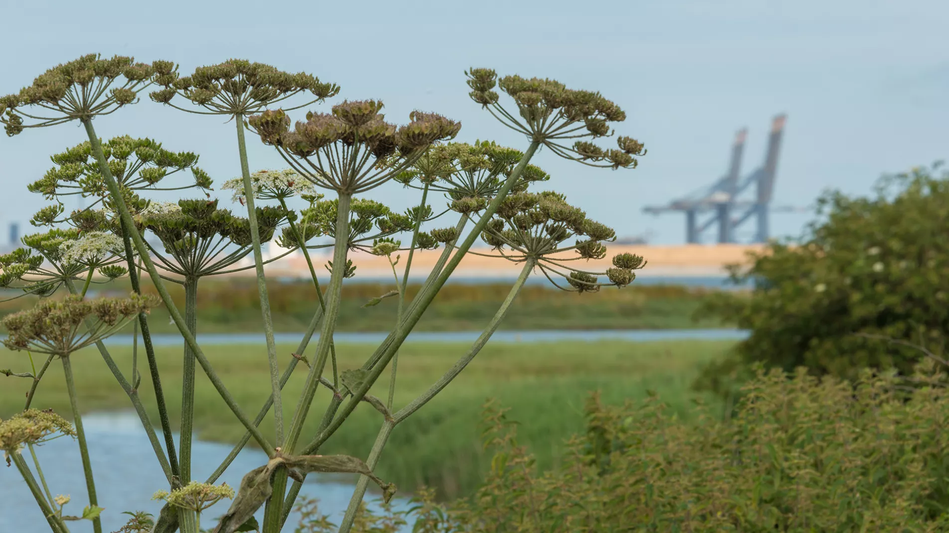 Environment | Port of London Authority