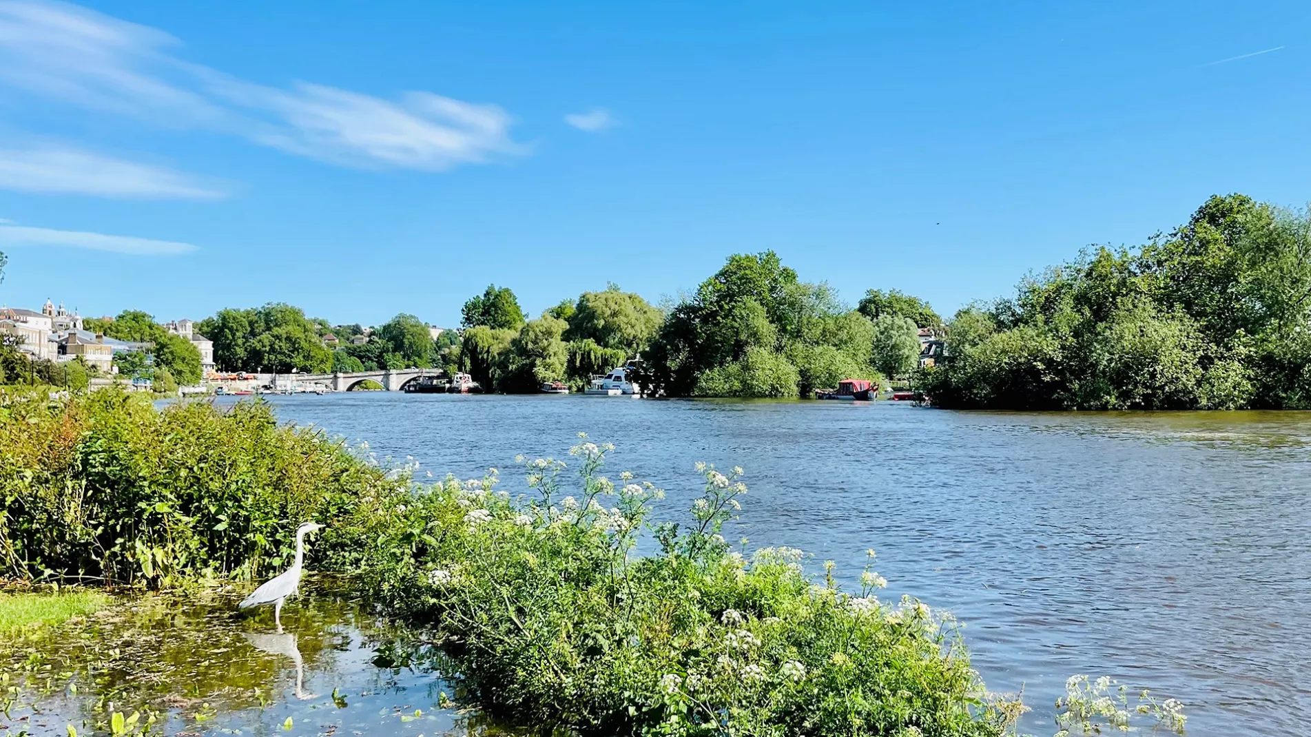 Your Thames | Port of London Authority